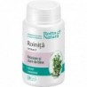 Capsule Extract de Roinita 30cps Rotta Natura - Paradisul Verde