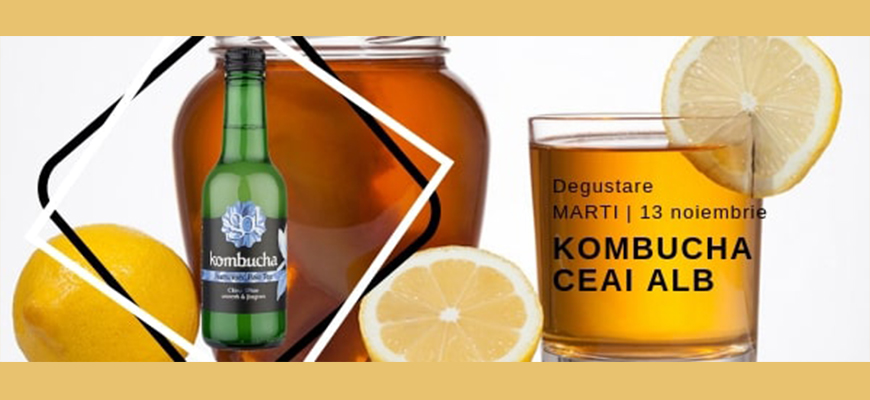 Degustare Ceai Alb Kombucha - Blog Paradisul Verde : Nutritie, retete ...
