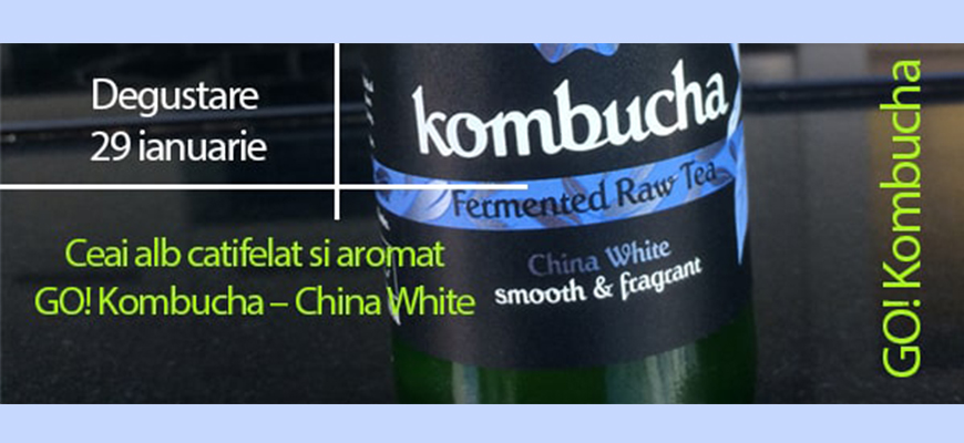 Degustare ceai alb Kombucha - Blog Paradisul Verde : Nutritie, retete ...