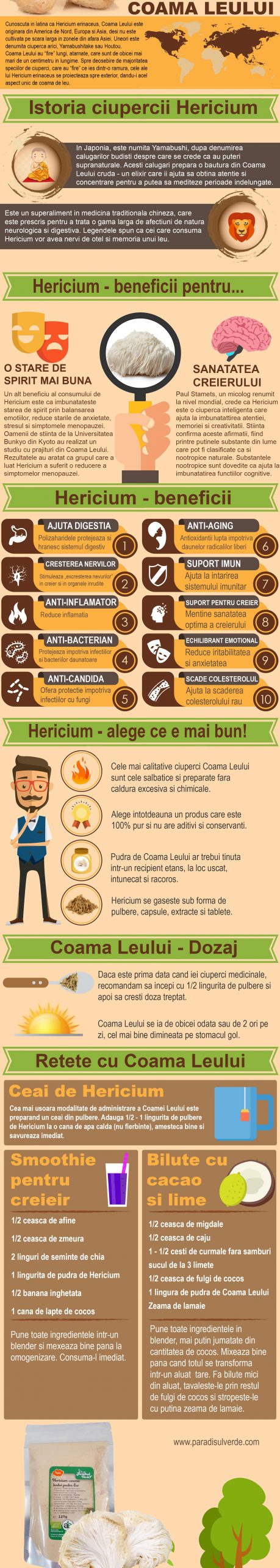 Coama Leului sau Hericium - potentiala putere care stimuleaza creierul ...